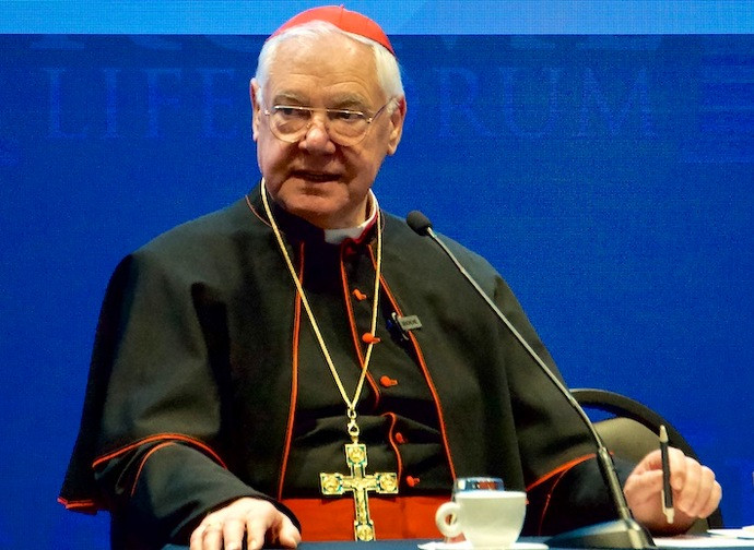 Müller: "The Synod, a step towards Protestantisation" - Brujula Cotidiana